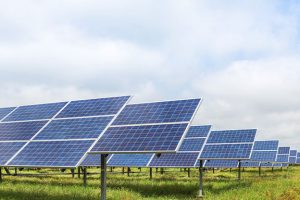 Our Company – Del Rey Packing